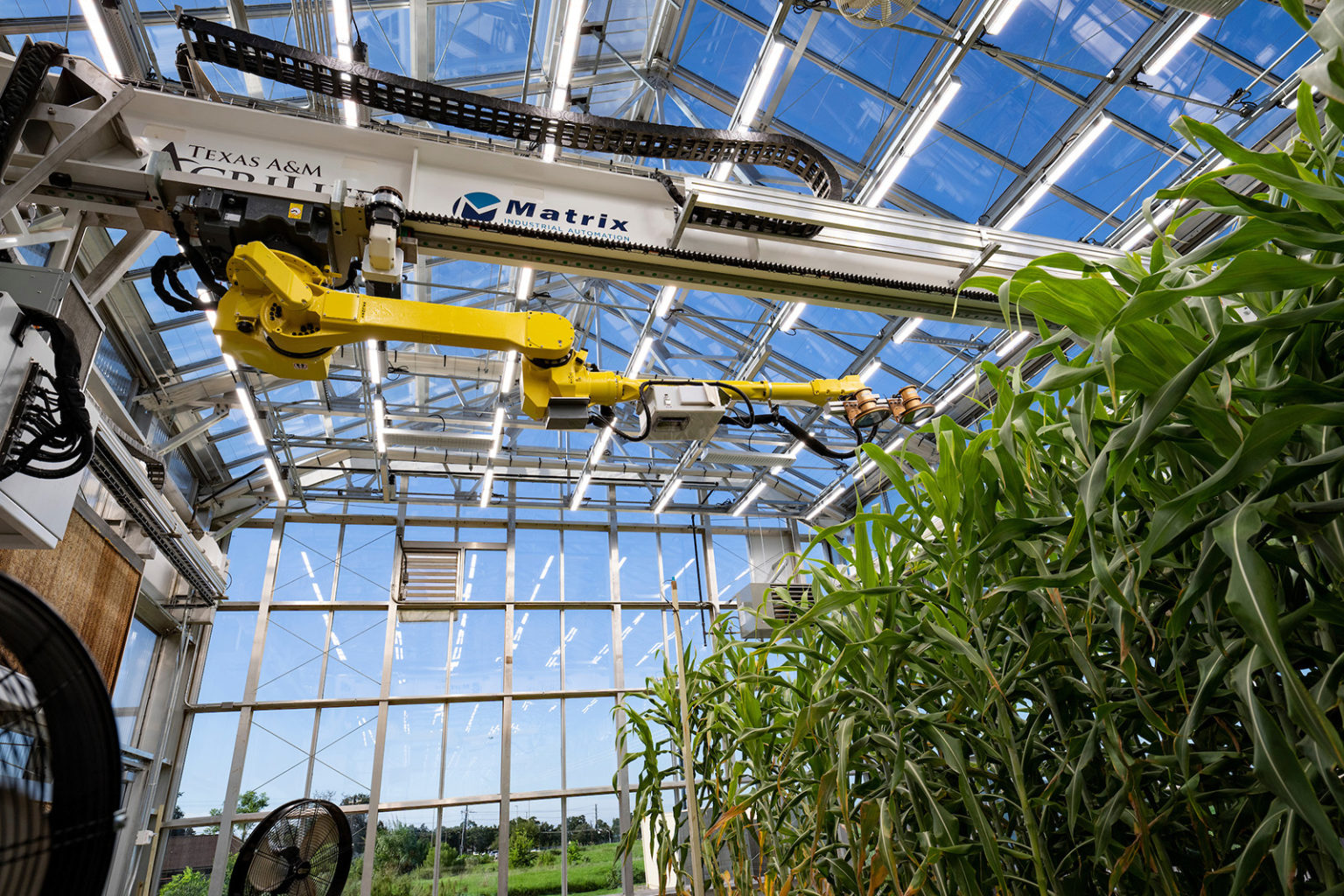 Automated precision phenotyping greenhouse - Texas A&M Phenotyping Facility